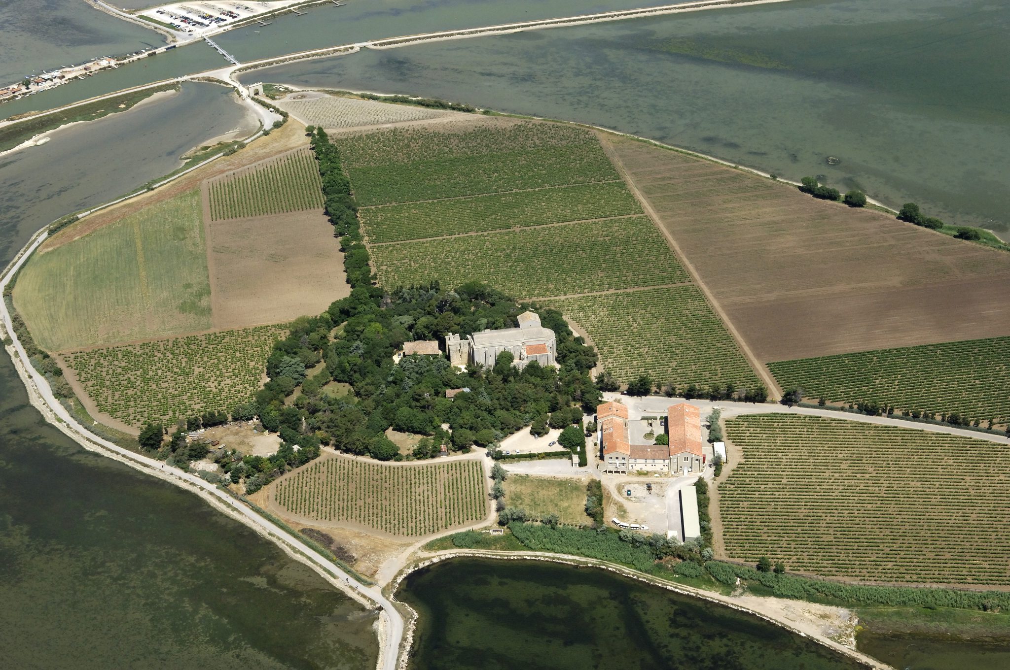 L'association - Les compagnons de Maguelone